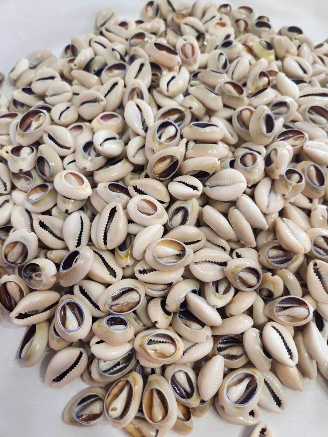 Cowrie Shell Beads, Sea Shells, African Shells. per Kilo, Bulk Sale - Etsy