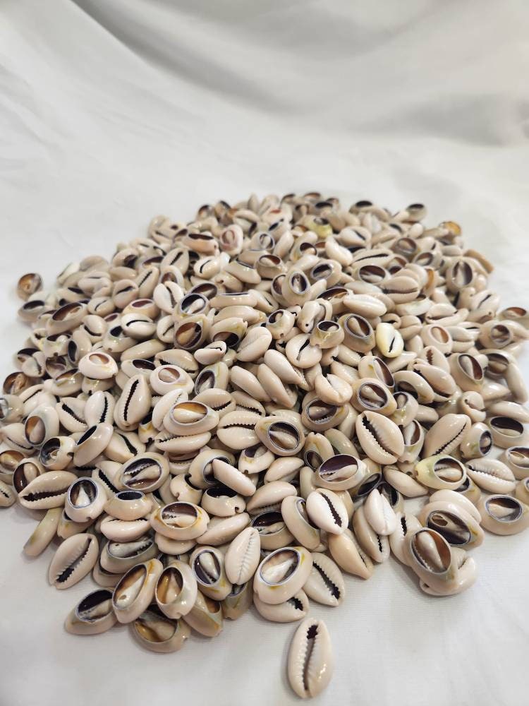 Cowrie Shell Beads, Sea Shells, African Shells. per Kilo, Bulk Sale - Etsy