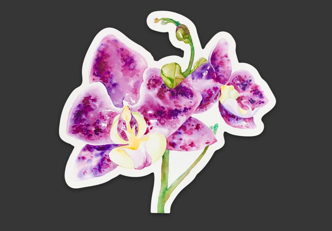 Orchid Flower Stickers, Floral Decals, Waterproof Botanical Stickers ...