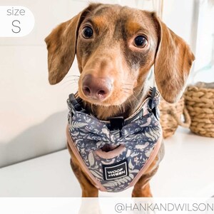 Adjustable Dog Harness - BOTANICAL PUP - Etsy