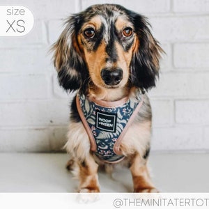 Adjustable Dog Harness - BOTANICAL PUP - Etsy