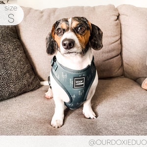 Adjustable Harness - FEELING PINE - Etsy