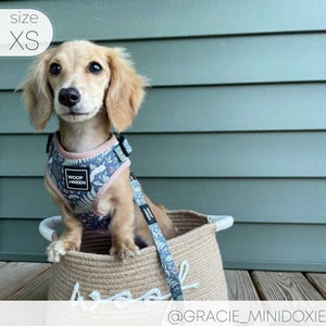 Adjustable Dog Harness - BOTANICAL PUP - Etsy