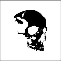 Skull Car Decal – Full Color Vinyl Graphic – Tribal Street Racing ...