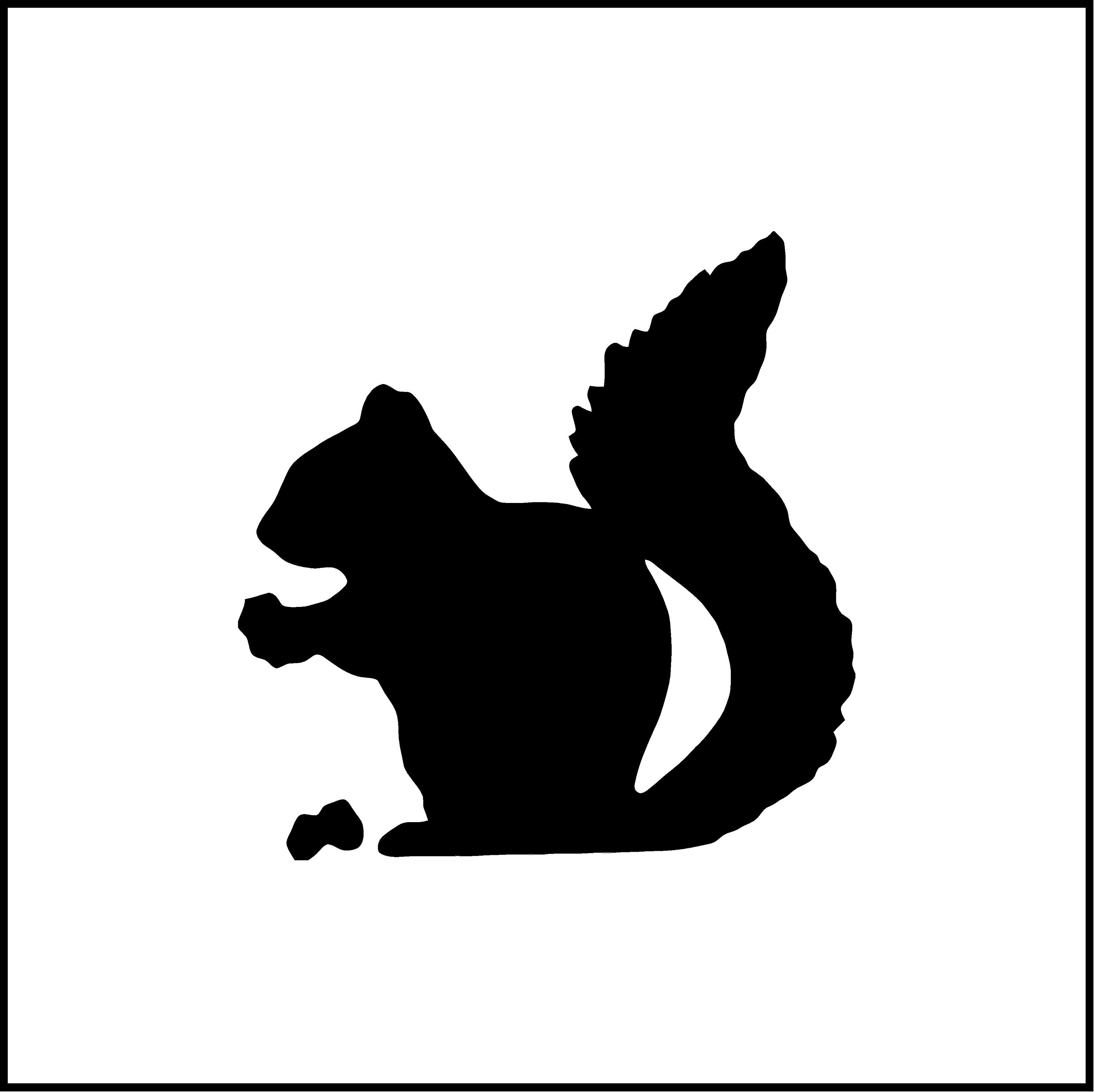 Squirrel With Nuts Acorns Vinyl Decal - Etsy