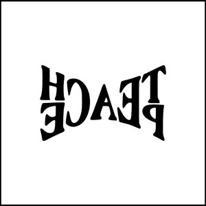 Teach Peace Vinyl Decal/sticker for Laptop/car/truck/rv/motorhome ...