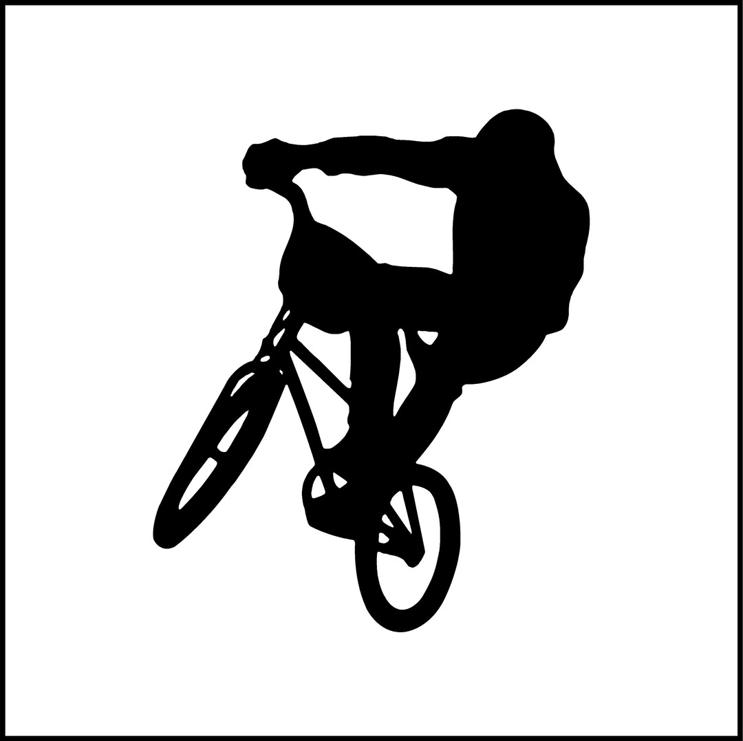 BMX Rider Vinyl Decal/sticker for Laptop/car/truck/rv/motorhome/windows ...