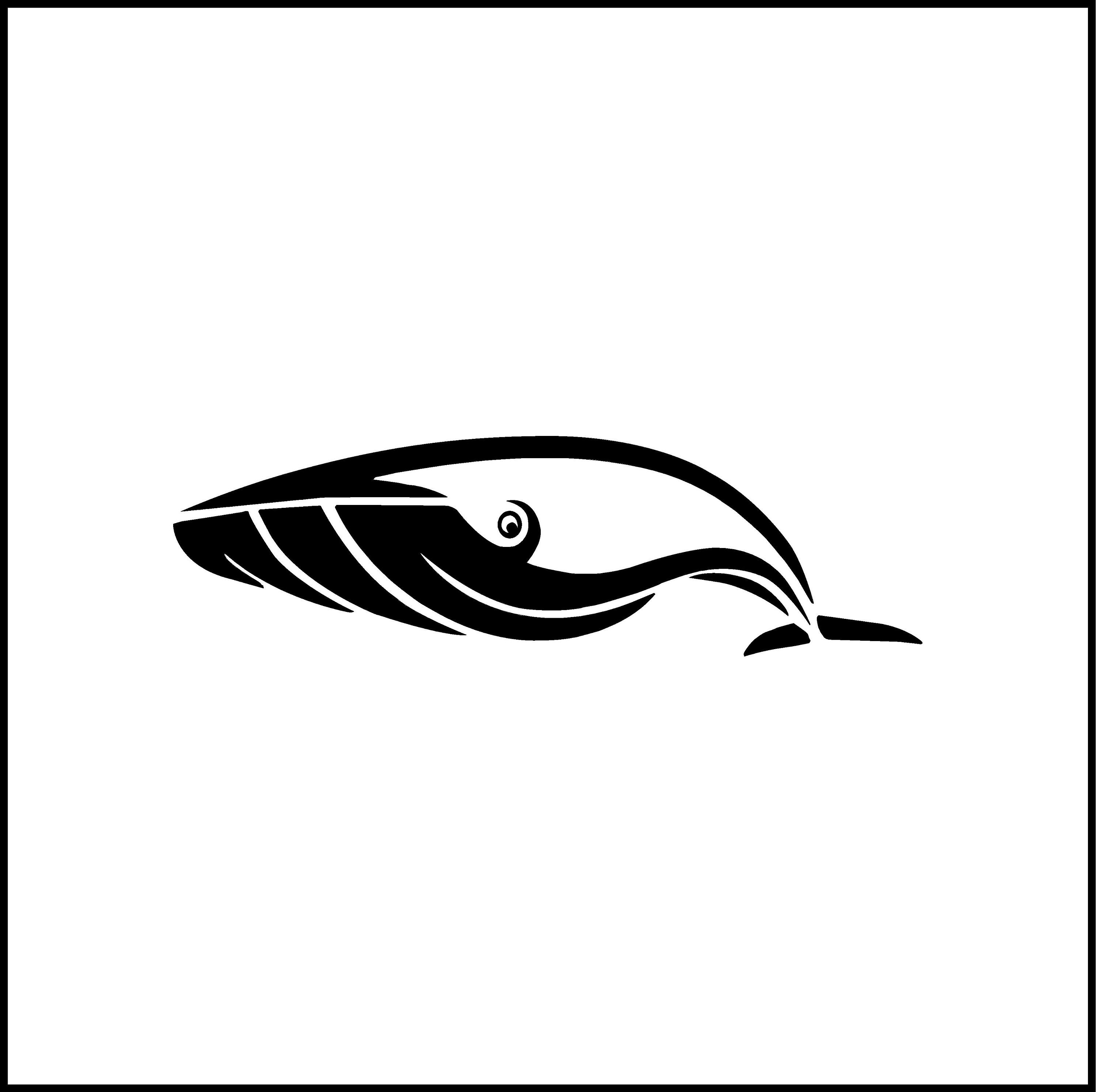 Beluga Whale Vinyl Decal - Etsy