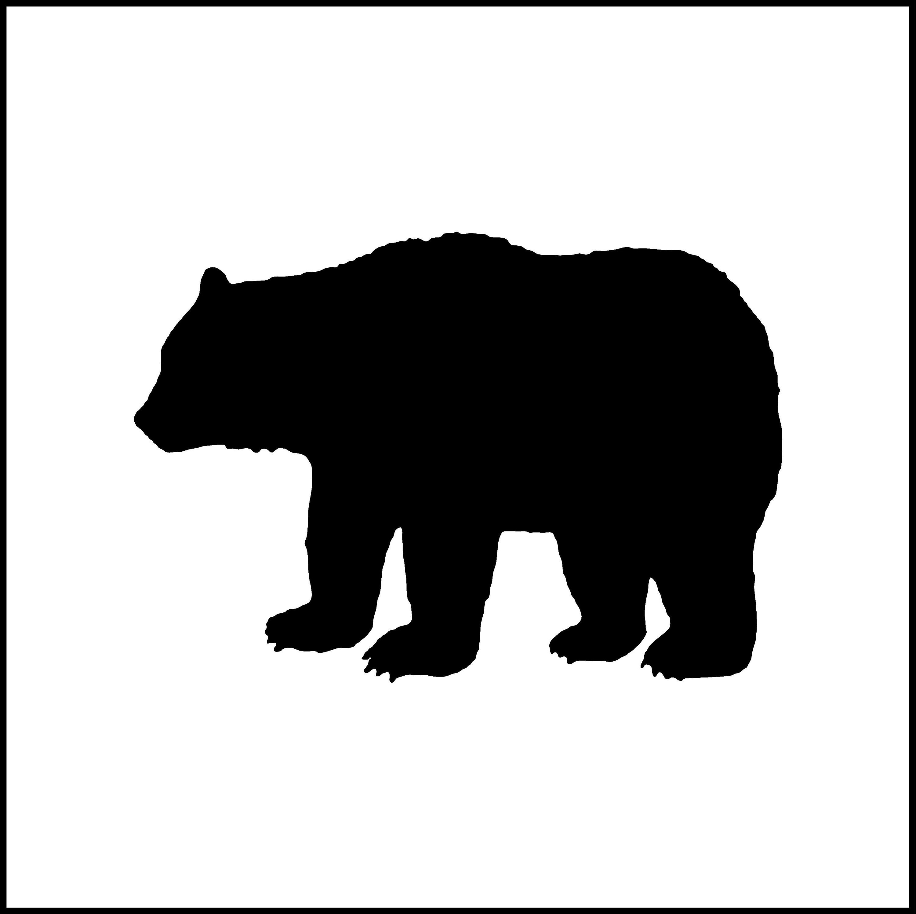 Bear Vinyl Decal - Etsy