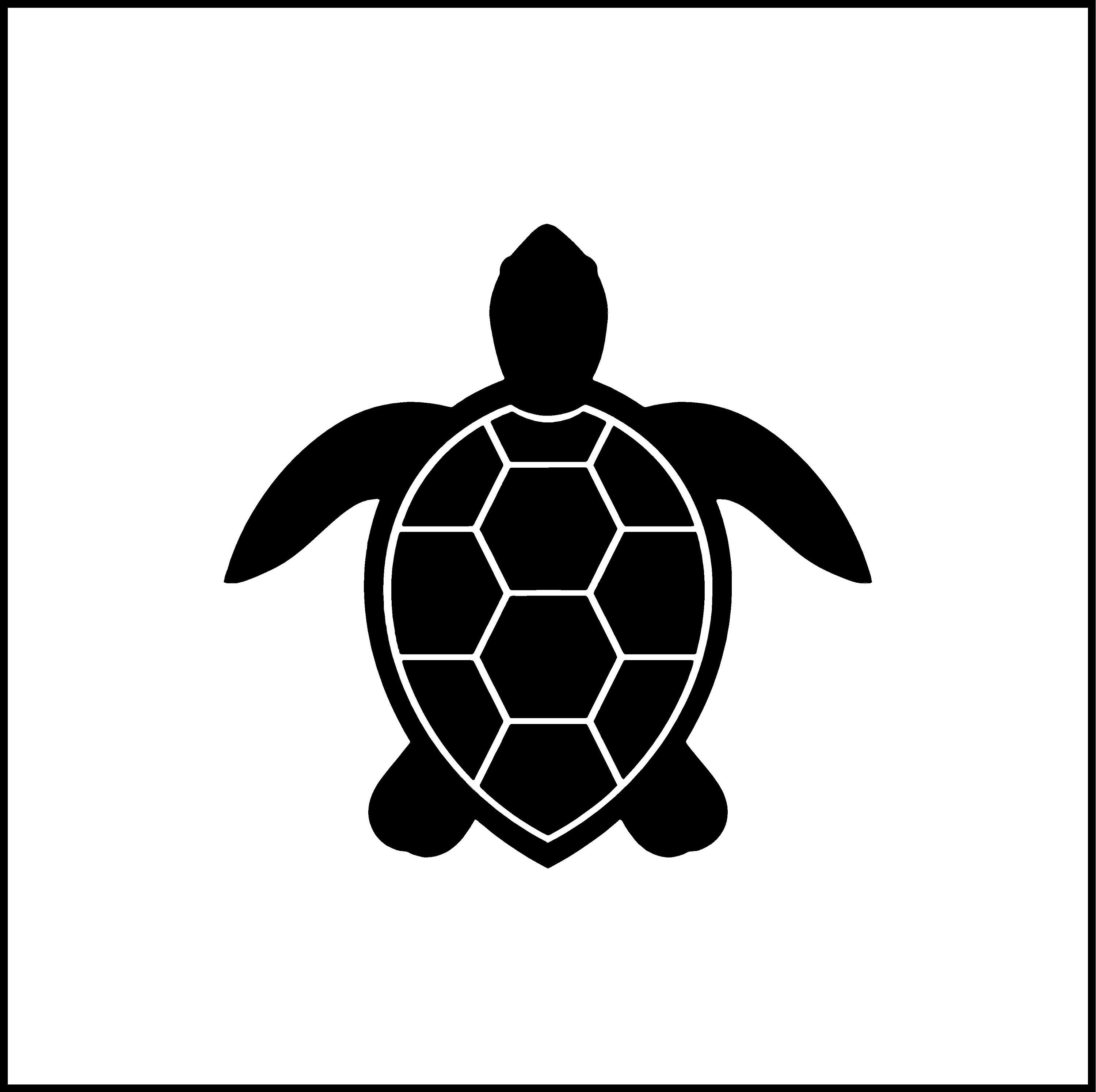 Sea Turtle Clip Art Black And White