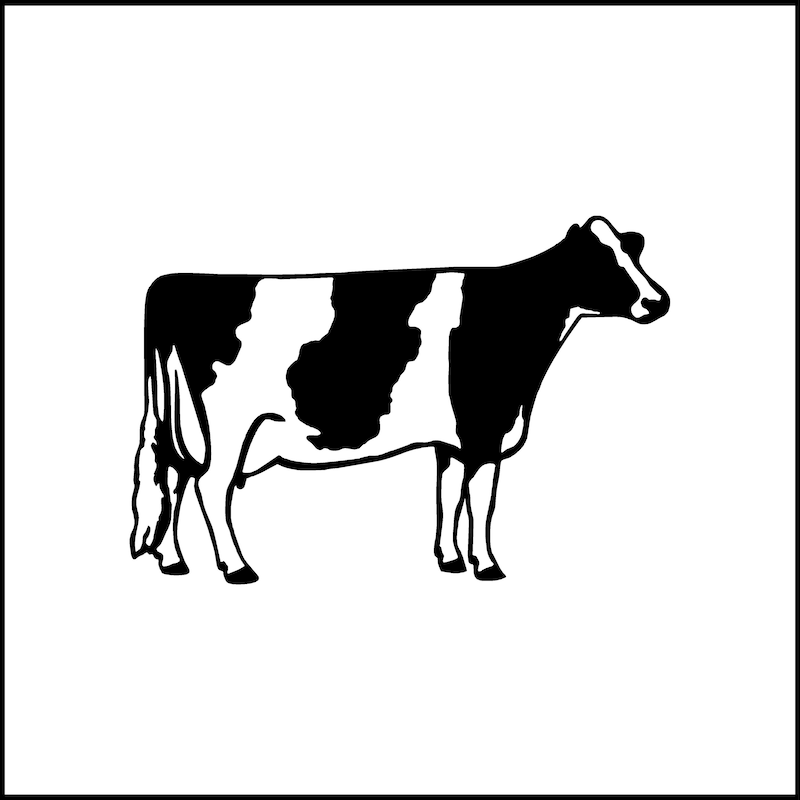 Cow Decals - Etsy