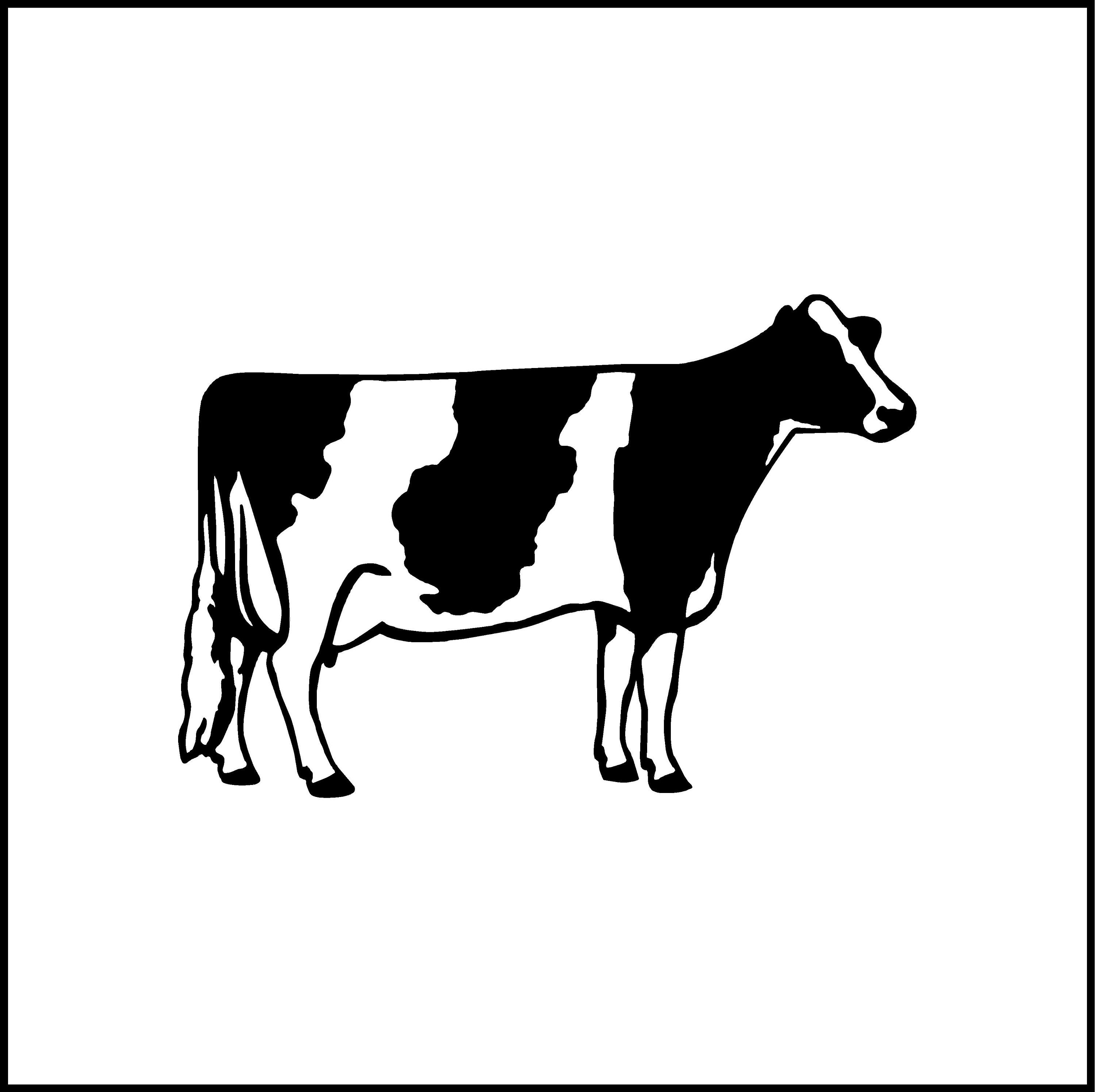Cow/dairy Cow Vinyl Decal - Etsy