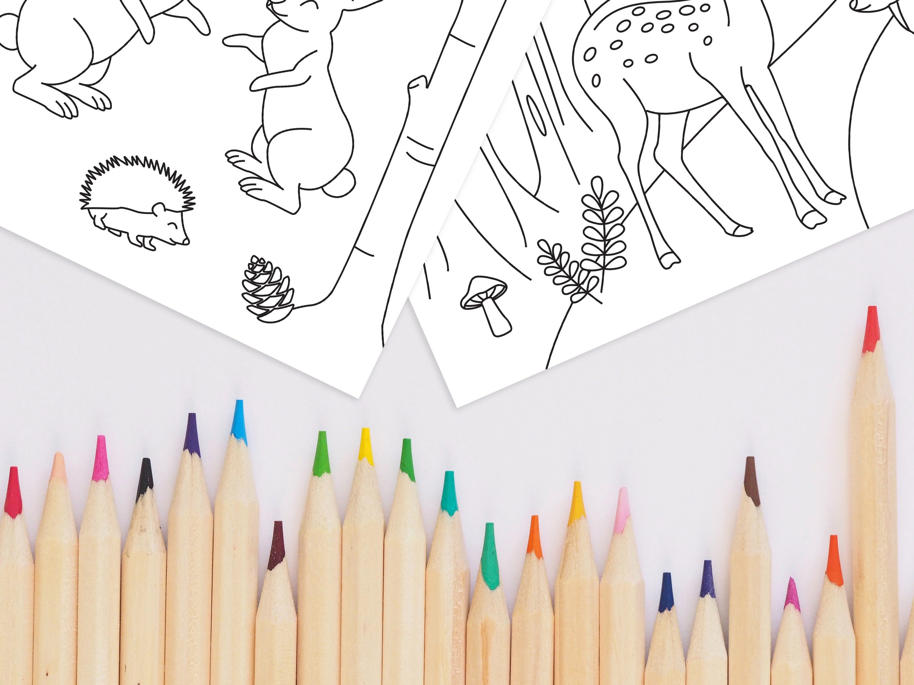 Woodland Coloring Book Coloring Pages Printable Coloring - Etsy