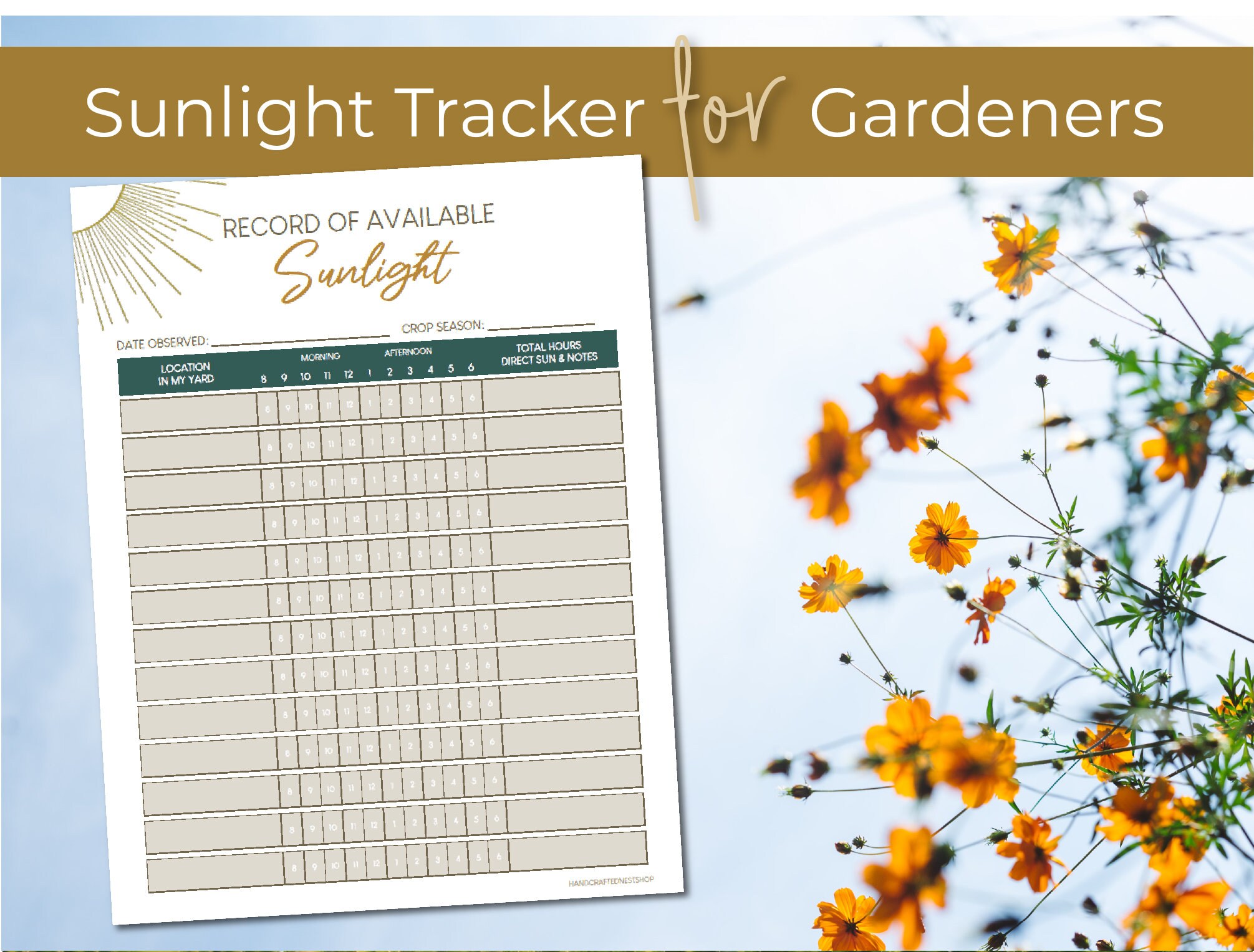 Printable Sun Tracker ǀ Record of Sunlight ǀ Garden Layout - Etsy