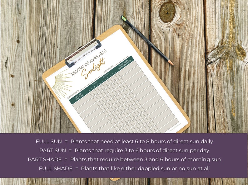 Printable Sun Tracker ǀ Record of Sunlight ǀ Garden Layout - Etsy