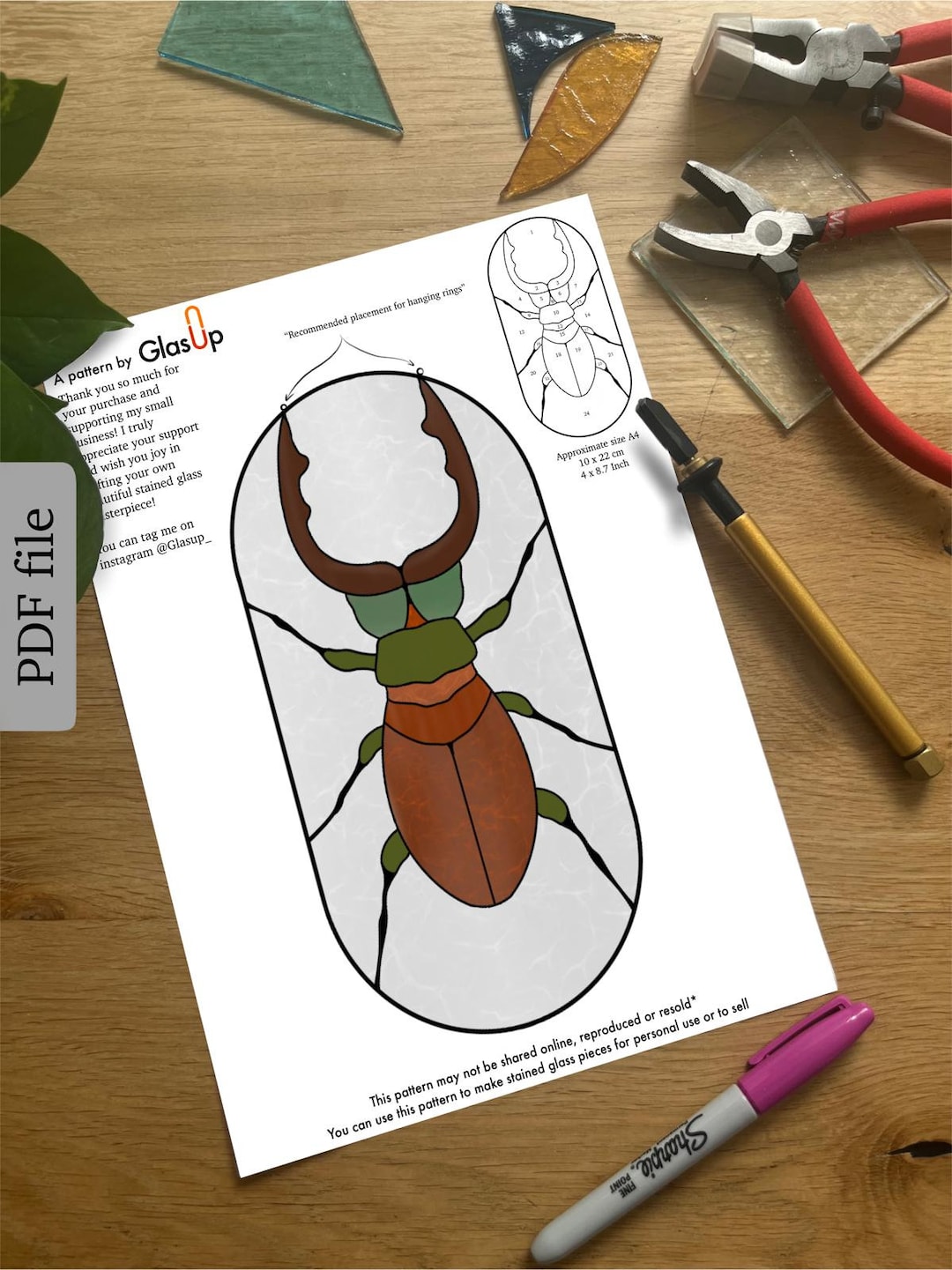 Stained Glass Insect, Stained Glass Stag Beetle Pattern, Digital ...