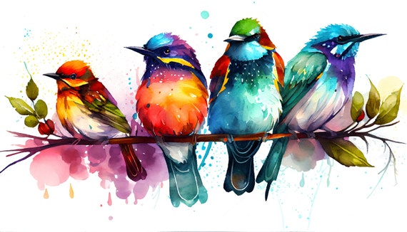 Colorful Bird Drawings
