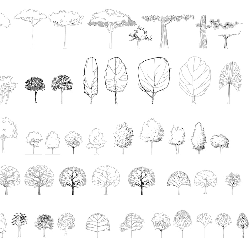 250 Trees Front View, Line Vector Illustrations Trees Dwg AI Svg Eps - Etsy