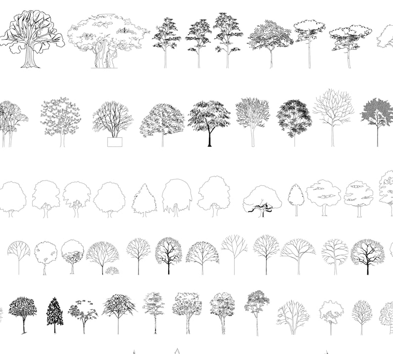 250 Trees Front View, Line Vector Illustrations Trees Dwg AI Svg Eps - Etsy