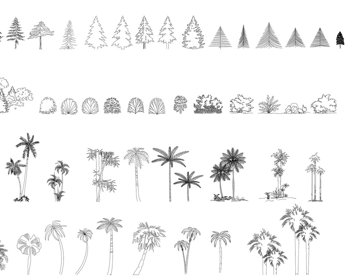 250 Trees Front View, Line Vector Illustrations Trees Dwg AI Svg Eps - Etsy