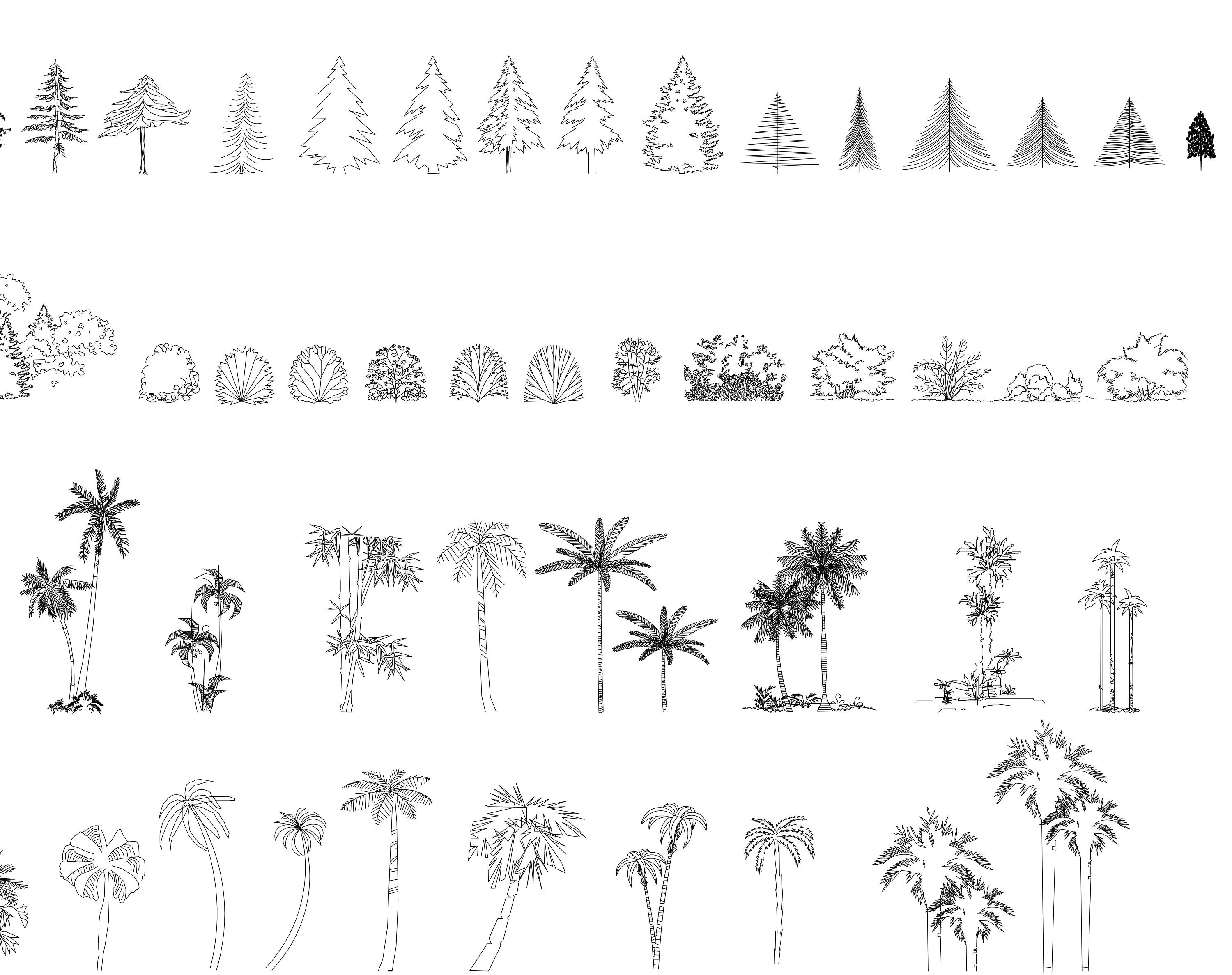 250 Trees Front View, Line Vector Illustrations Trees Dwg AI Svg Eps - Etsy