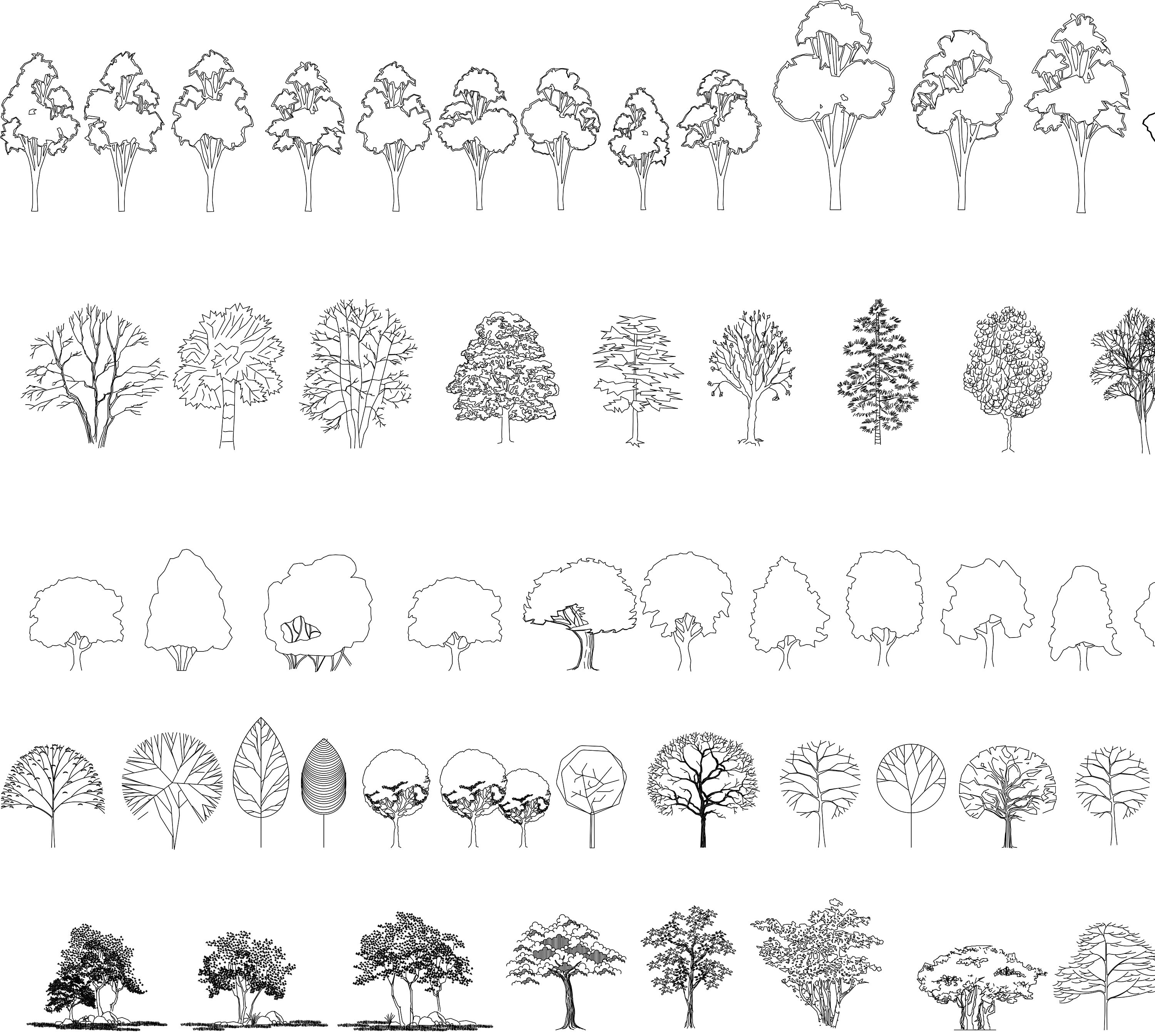250 Trees Front View, Line Vector Illustrations Trees Dwg AI Svg Eps - Etsy
