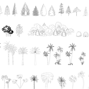 250 Trees Front View, Line Vector Illustrations Trees Dwg AI Svg Eps - Etsy