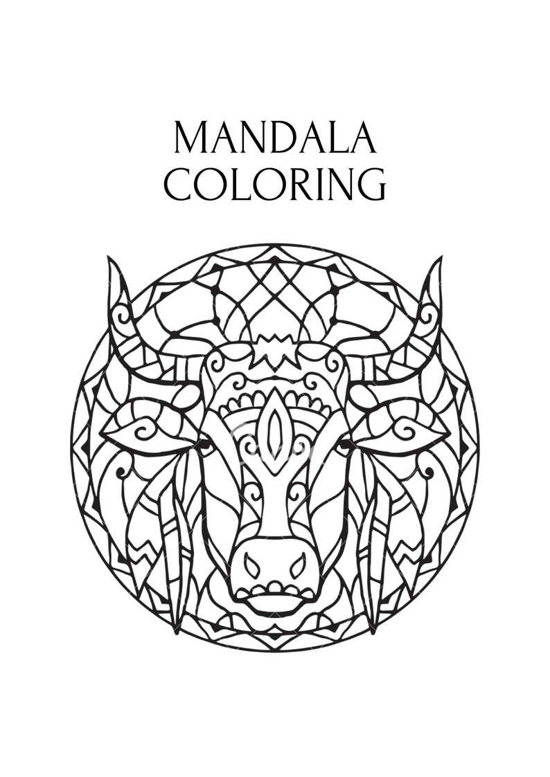 47 Page Download & Print Random Themed Preschool Activity Book - Etsy