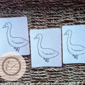Stick & Stitch Silly Goose Embroidery Kit - Etsy