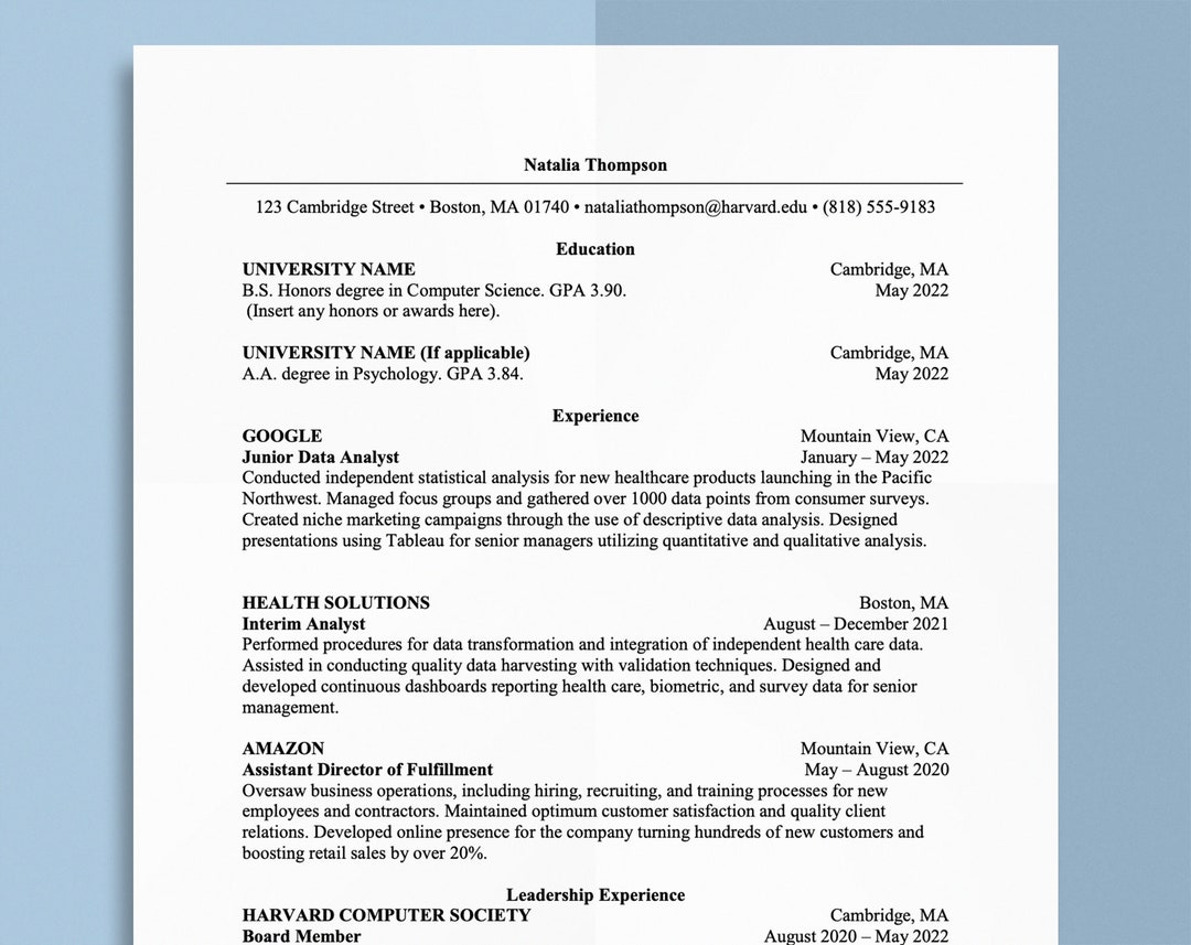 Classic Harvard Resume Template For Word Professional Clean CV 