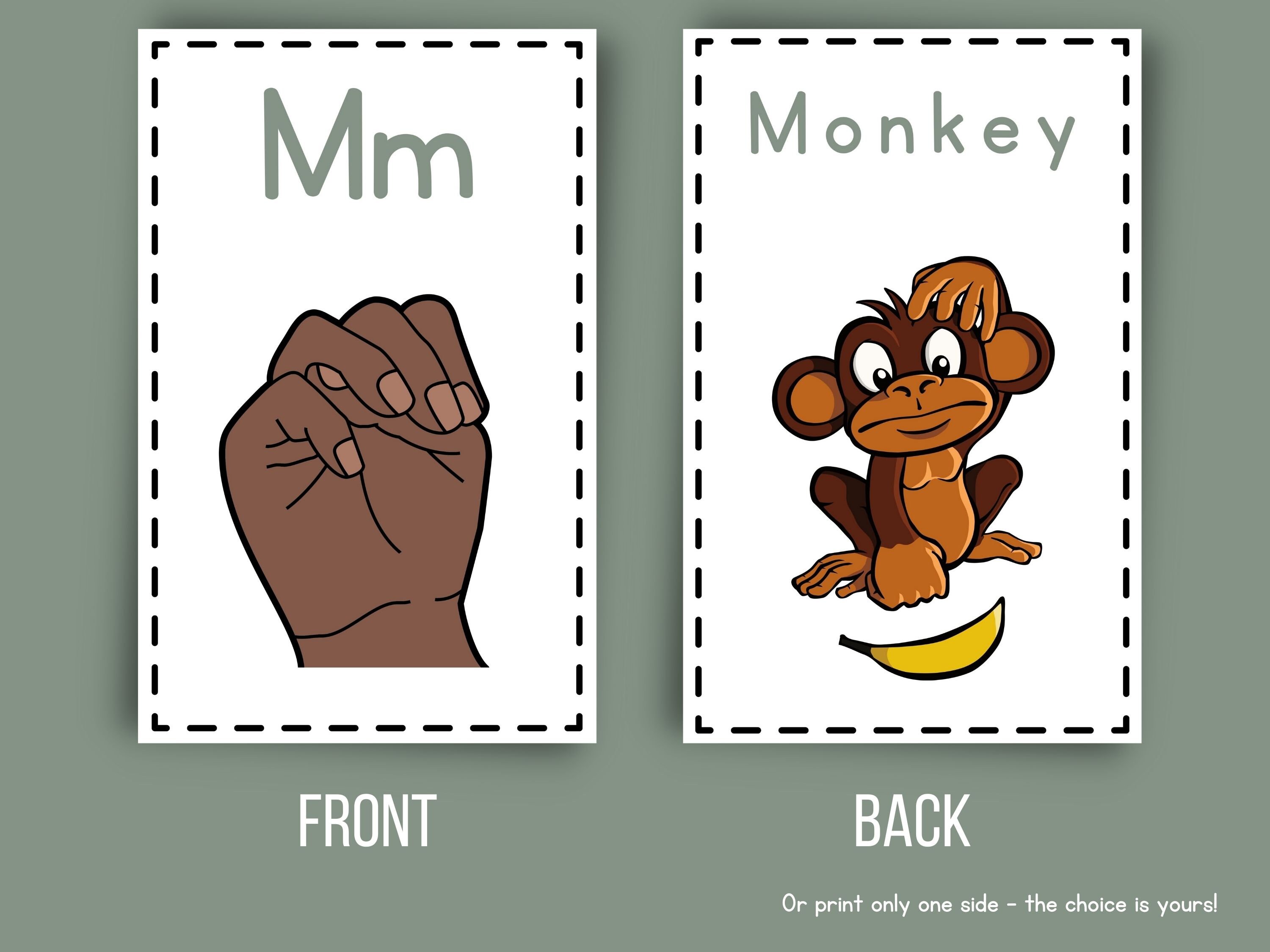 American Sign Language Alphabet Flashcards | ASL Classroom Posters ...
