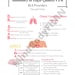 CPR Reference Sheet; Cpr; Cardiopulmonary Resuscitation; Cpr Cheat ...
