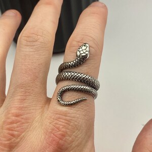 Wrapped Snake Ring Stainless Steel Cobra Ring Mens Silver Snake Band ...