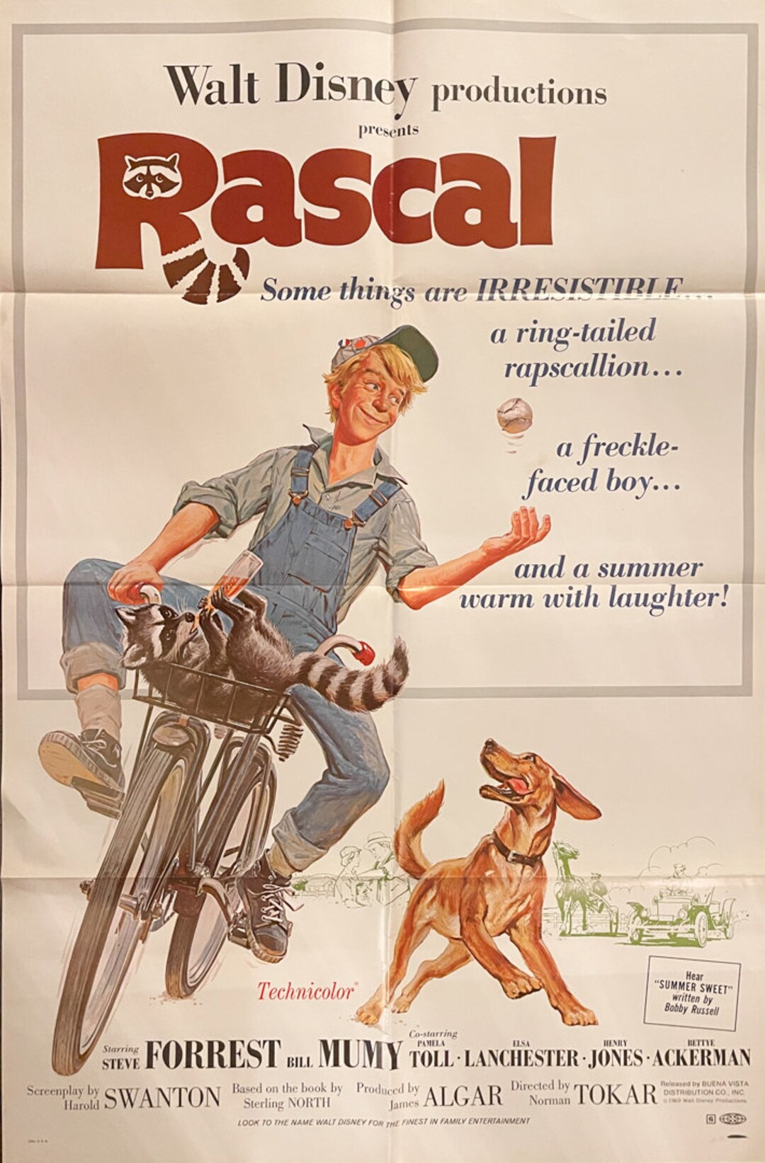 Walt Disney's Rascal 1969 Starring Bill Mumy Original - Etsy