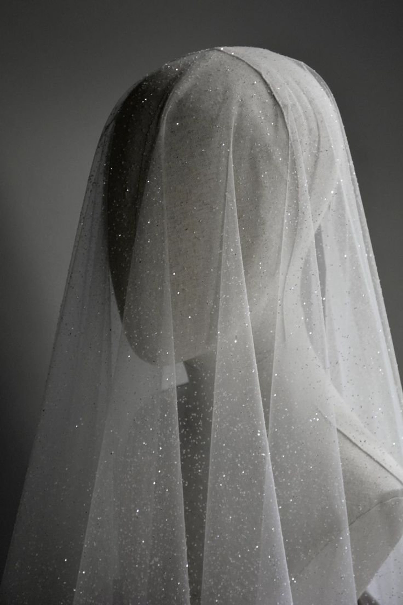 Glitter Wedding Veil , Sparkle Long Veil , Shimmer Veil, Veil, Bridal ...