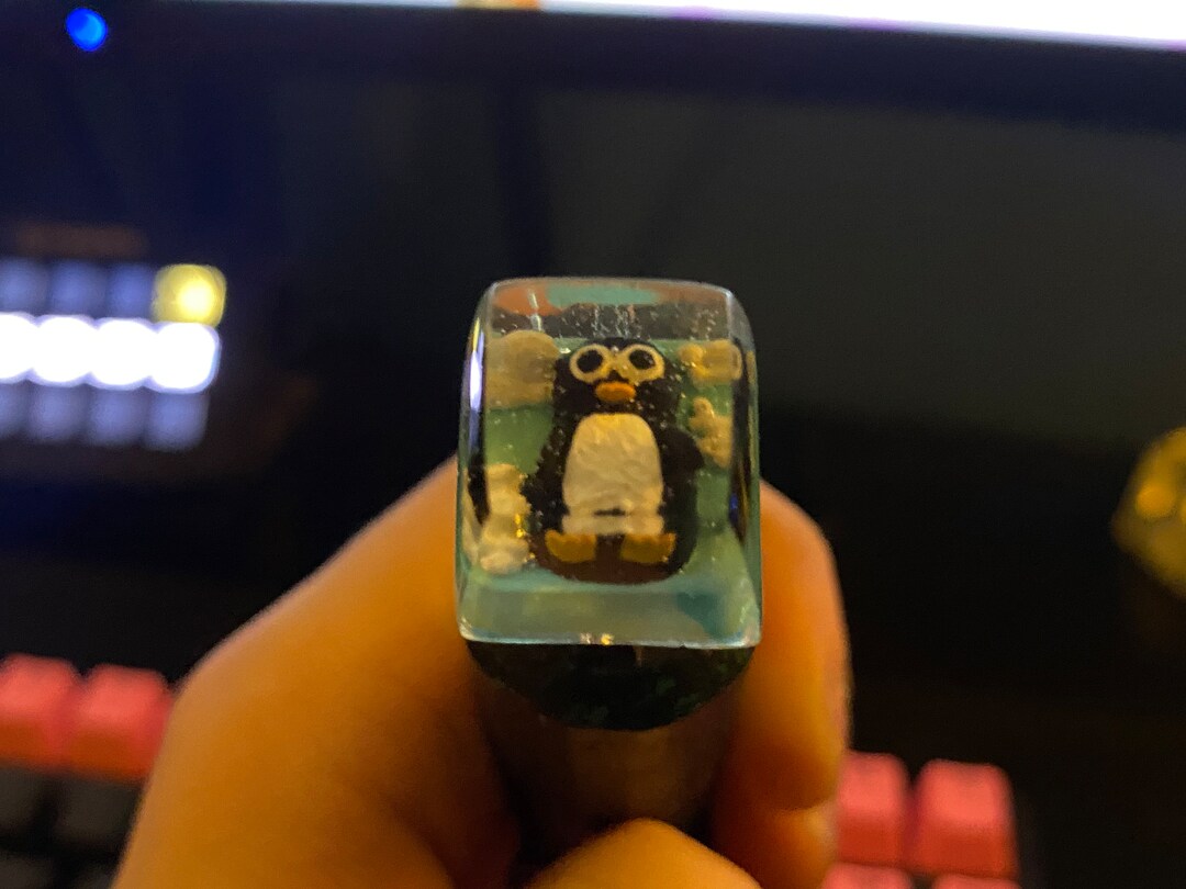 Floating Frozen Penguin Keycap Clear, Handmade, Hand Painted Keycap - Etsy