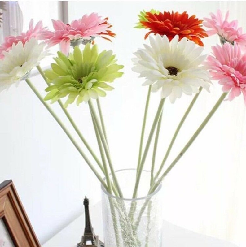 USA-100PCS Fresh Artificial Gerbera Flower Seeds Chrysanthemum - Etsy