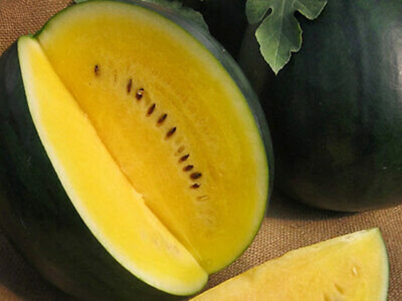 20PCS Seeds Watermelon Yellow Janusik Vegatable Fruit Rare - Etsy