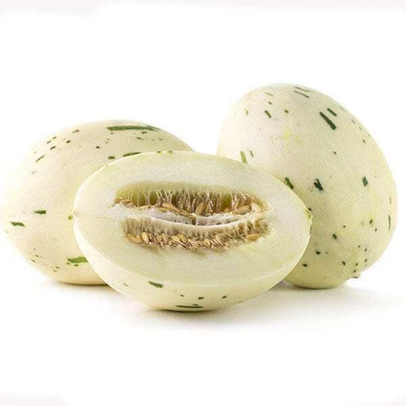 20pcs Gaya Melons Seeds New Hybrid Melon Developed in Japan - Etsy ...