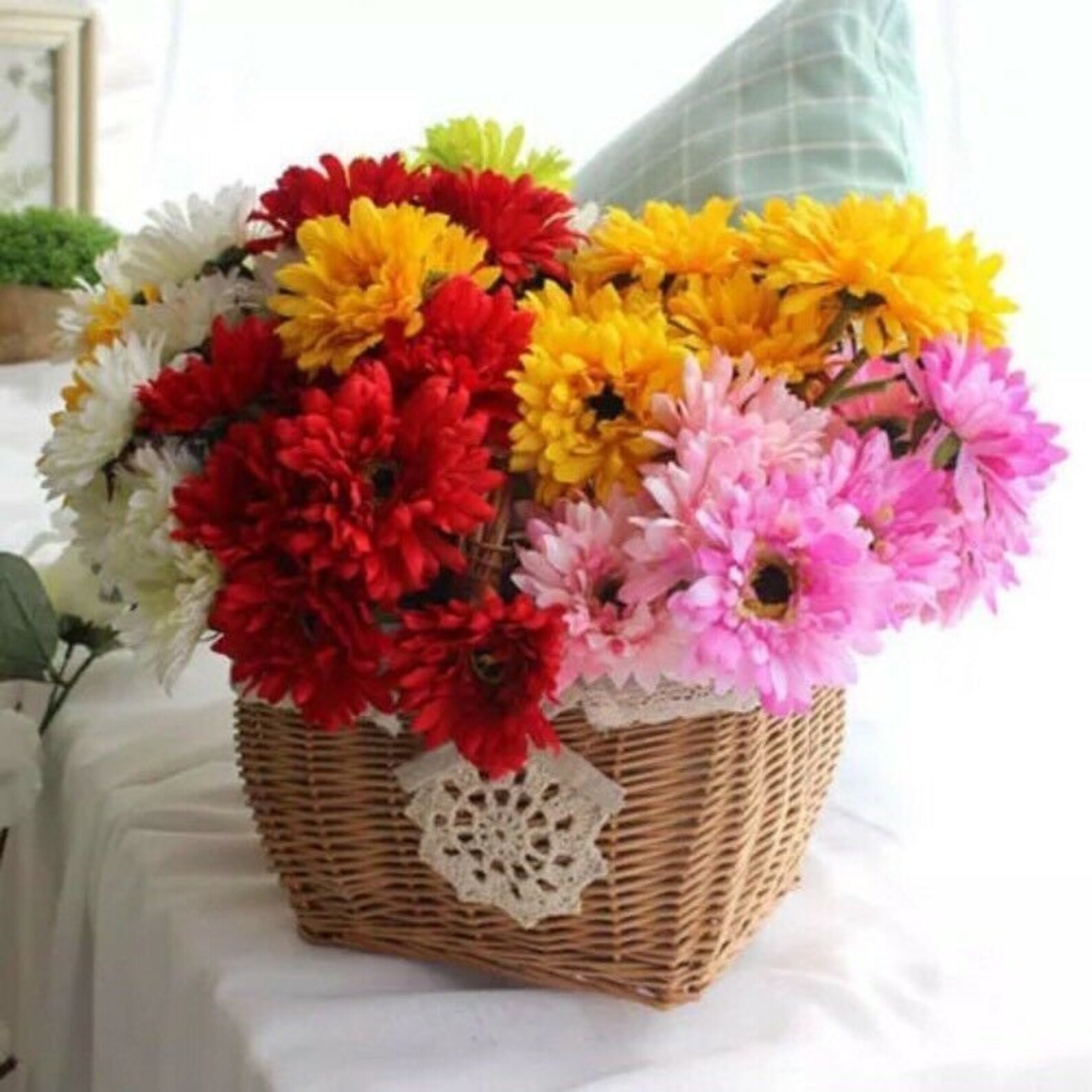 USA-100PCS Fresh Artificial Gerbera Flower Seeds Chrysanthemum - Etsy