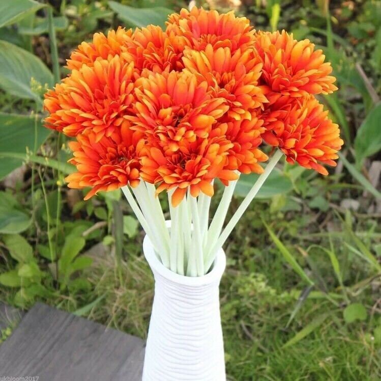 USA-100PCS Fresh Artificial Gerbera Flower Seeds Chrysanthemum - Etsy