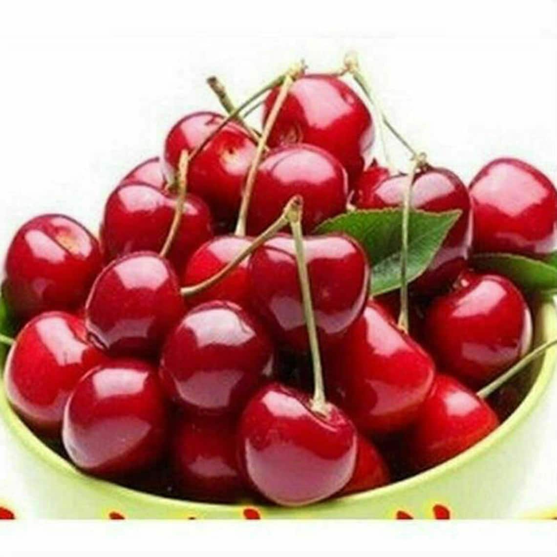 20pcs Cherry Seeds Organic Seeds Fruit Seeds Bonsai Tree High - Etsy