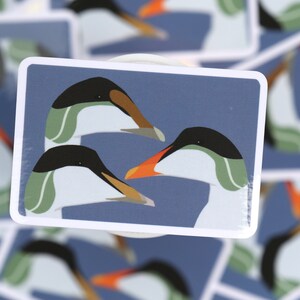 Bird Vinyl Stickers - Common Eider, Red Crossbill, and Wood Thrush - Etsy