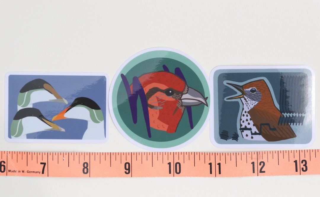 Bird Vinyl Stickers - Common Eider, Red Crossbill, and Wood Thrush - Etsy
