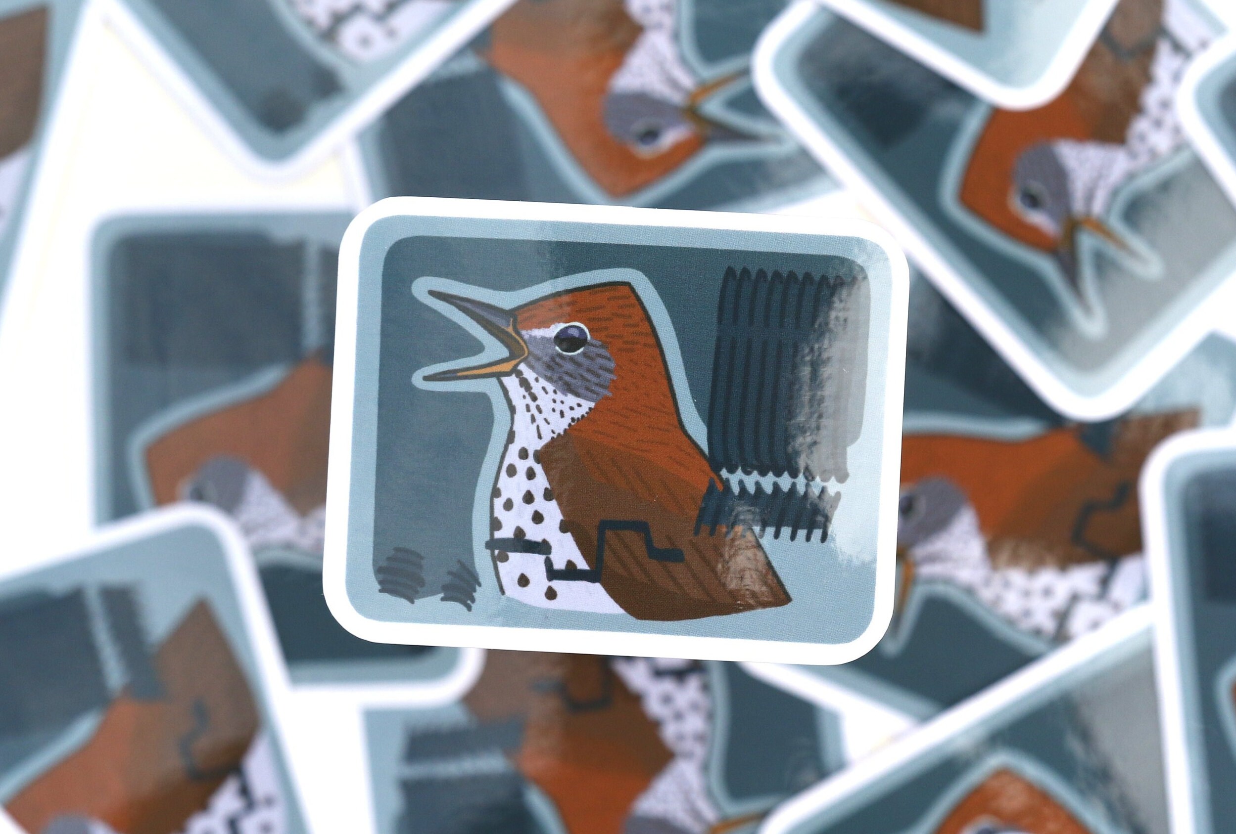 Bird Vinyl Stickers - Common Eider, Red Crossbill, and Wood Thrush - Etsy