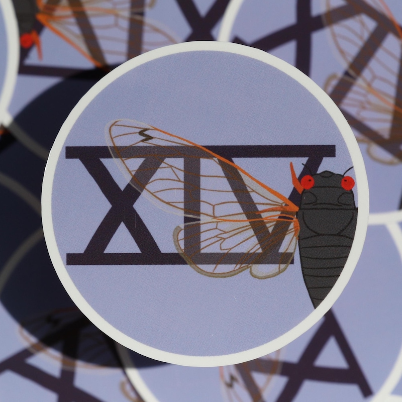 Stickers Cicada - Etsy
