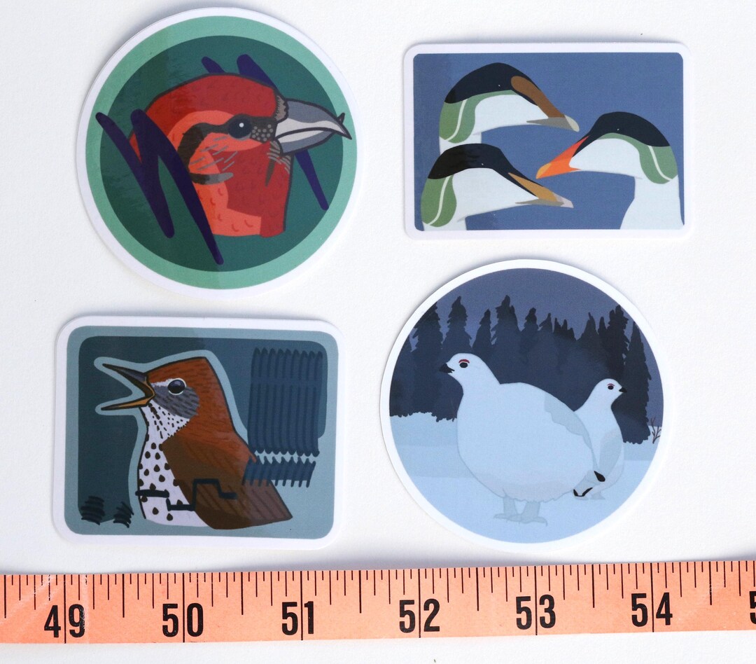 Bird Vinyl Stickers - Willow Ptarmigan, Common Eider, Red Crossbill ...