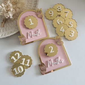 Butterfly Arch Milestone Disc, Milestone Disc, Girl Milestones - Etsy