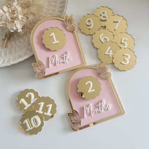 Butterfly Arch Milestone Disc, Milestone Disc, Girl Milestones - Etsy