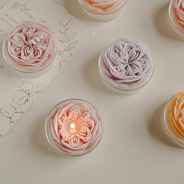 David Austin Roses - Etsy